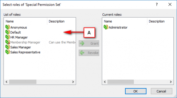 Edit Role List – Visual Guard