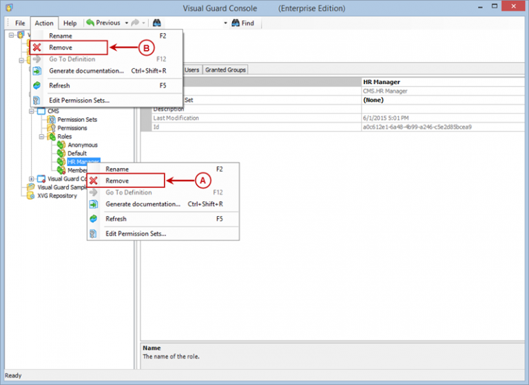 Remove Role – Visual Guard
